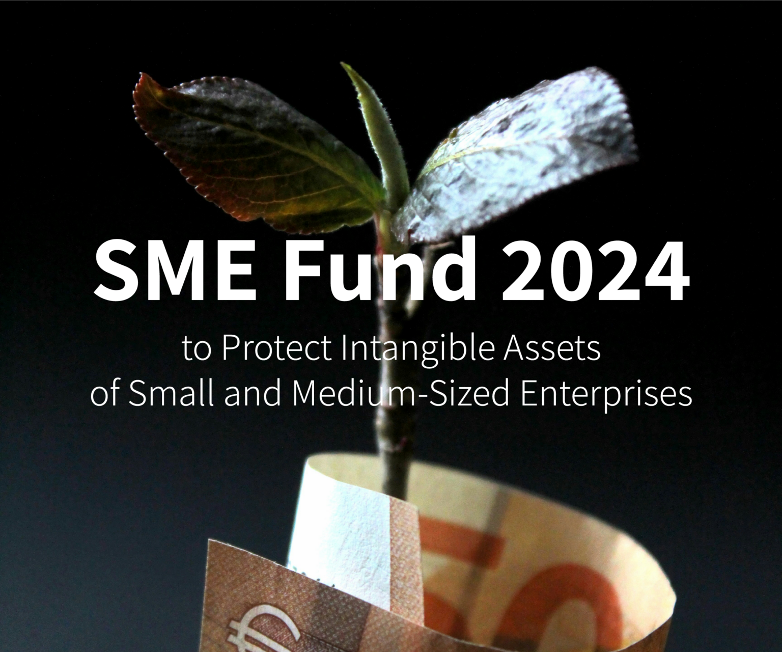 Open: SME Fund 2024 to Protect Intangible Assets of Small and Medium ...